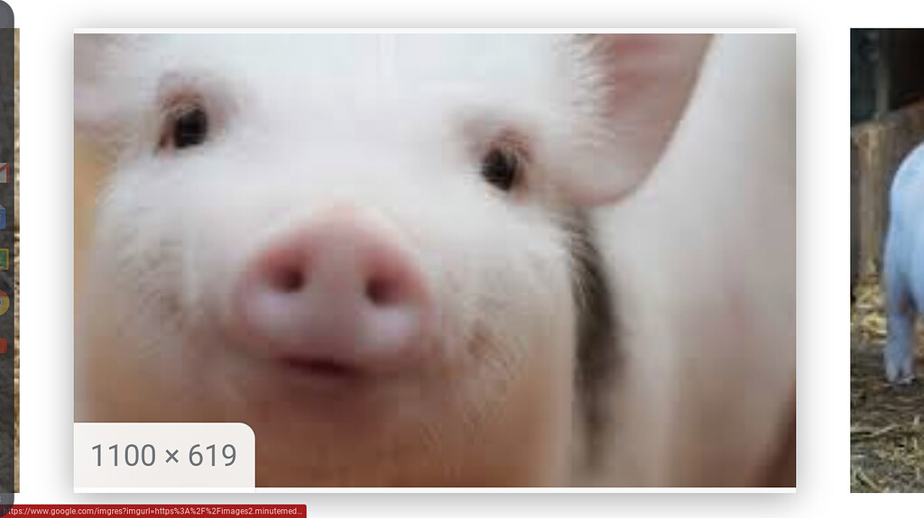 Piggy - Cursor Ideas - Custom Cursor Community