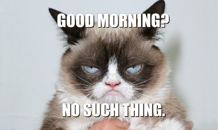 hi people in the world - General Discussion - Custom Cursor Community