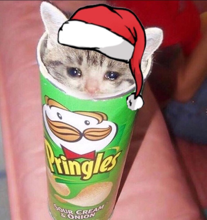 Pringle cat pfp cult - General Discussion - Custom Cursor Community