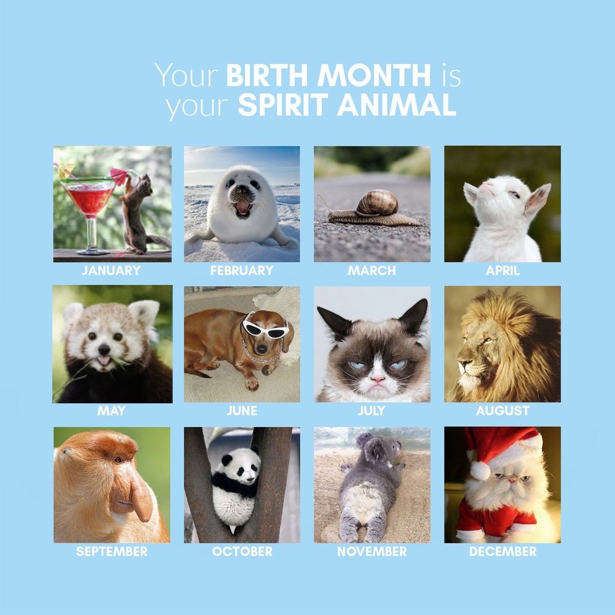 Your birthday month your rapper - General Discussion - Custom Cursor ...