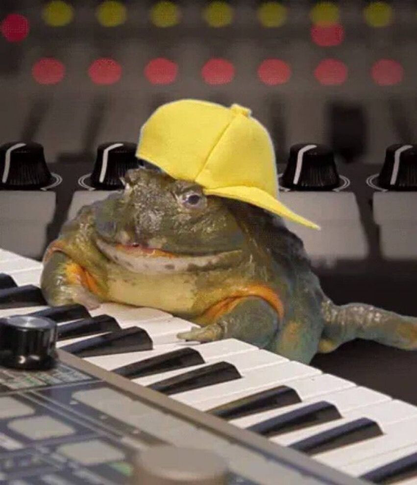 Send me pics of PHROGS (frogs) - Page 2 - General Discussion - Custom ...