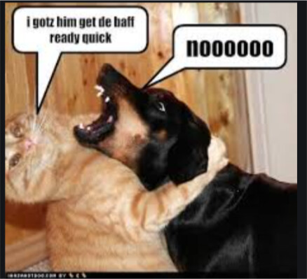 Doge central - General Discussion - Custom Cursor Community