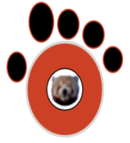Here are my custom cursors - Page 3 - Community creations - Custom ...