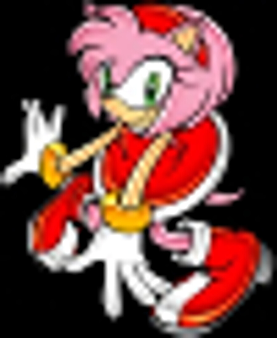 a very low quality picture of amy rose - General Discussion - Custom ...