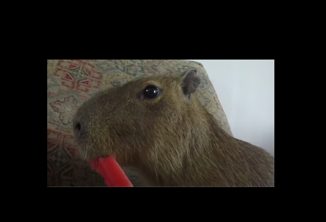 New Pfp I Guess General Discussion Custom Cursor Community