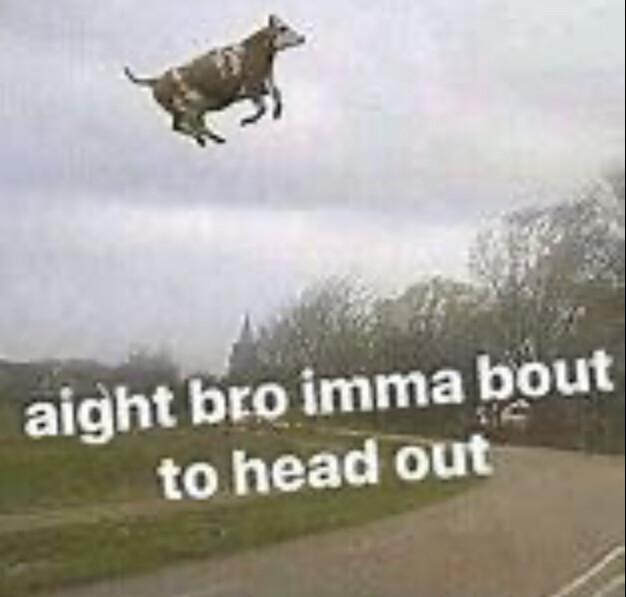 Opinions that got you like (Flynn Rider sword meme) - General ...