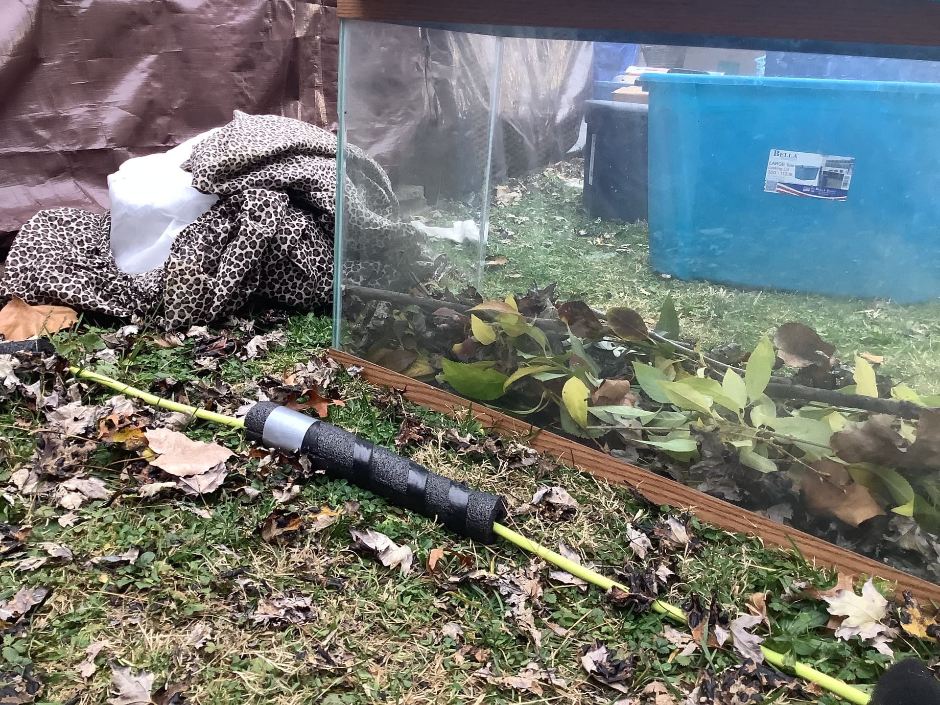 I Got A Praying Mantis General Discussion Custom Cursor Community