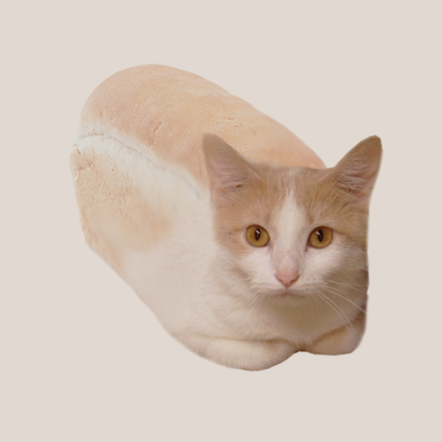 a bread cat - Cursor Ideas - Custom Cursor Community