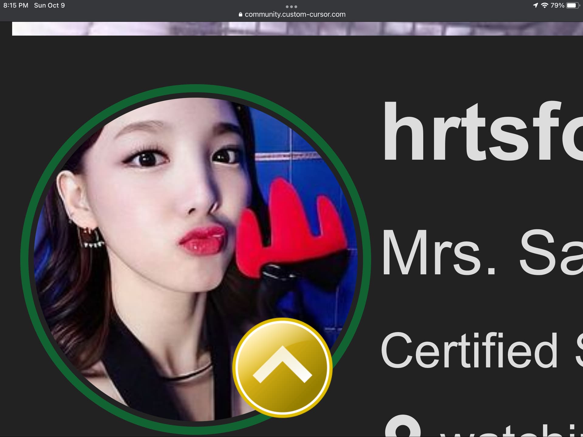 What a cute lil pupper! - General Discussion - Custom Cursor Community