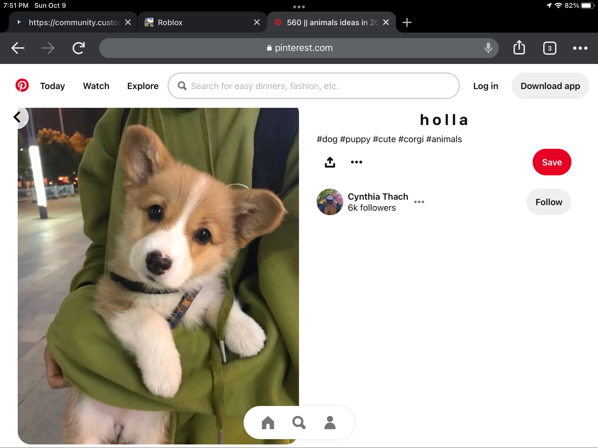 What a cute lil pupper! - General Discussion - Custom Cursor Community